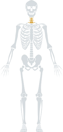 Andrew Cook, MD | American Pain Consortium